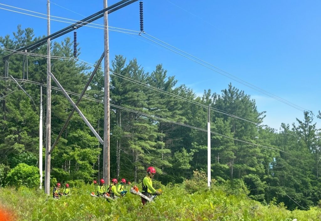 Service: Transmission Right-of-Way Clearance: - Mowing Solutions